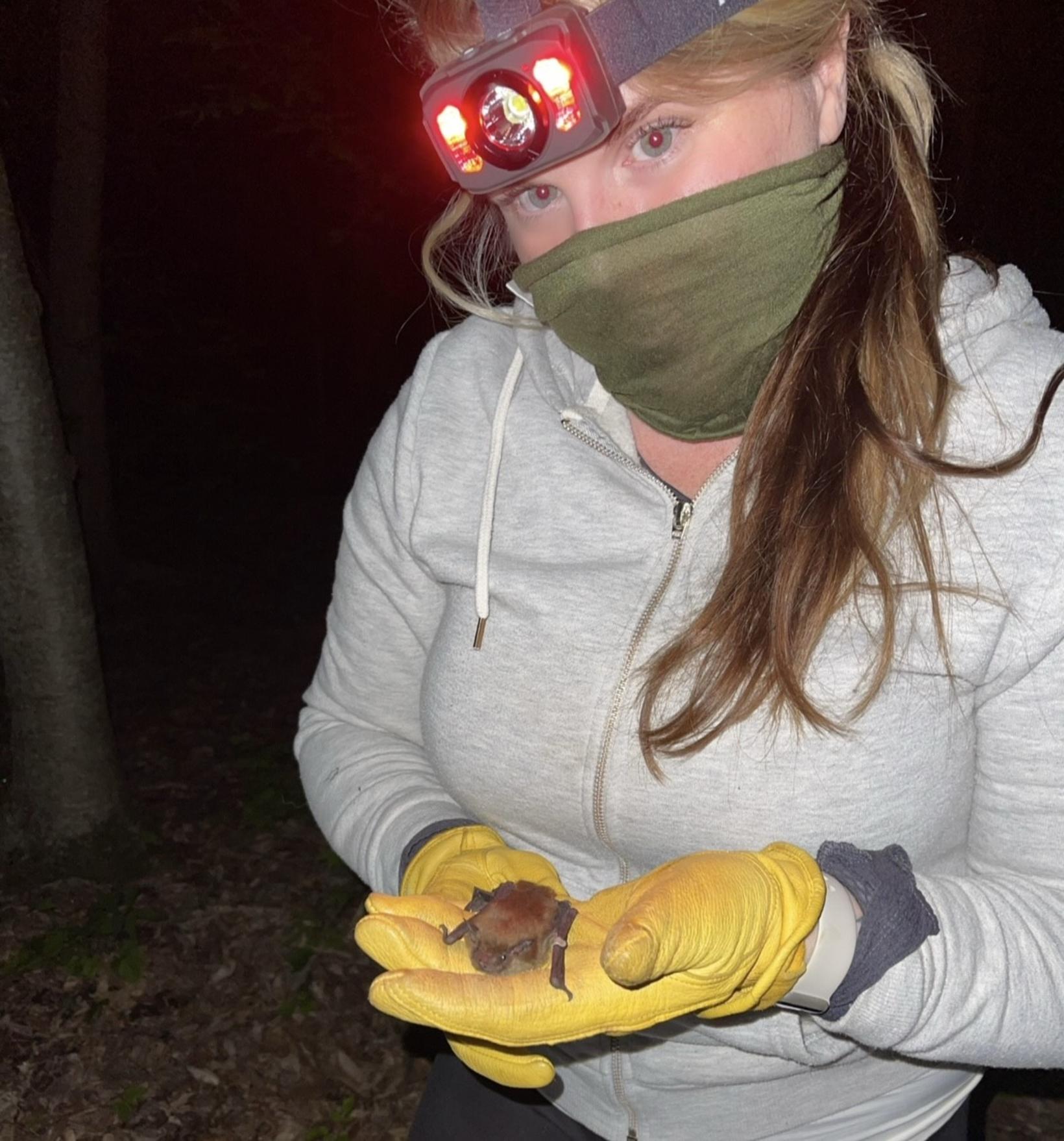 Turned down by the University of Iceland — but still admires Iceland ...